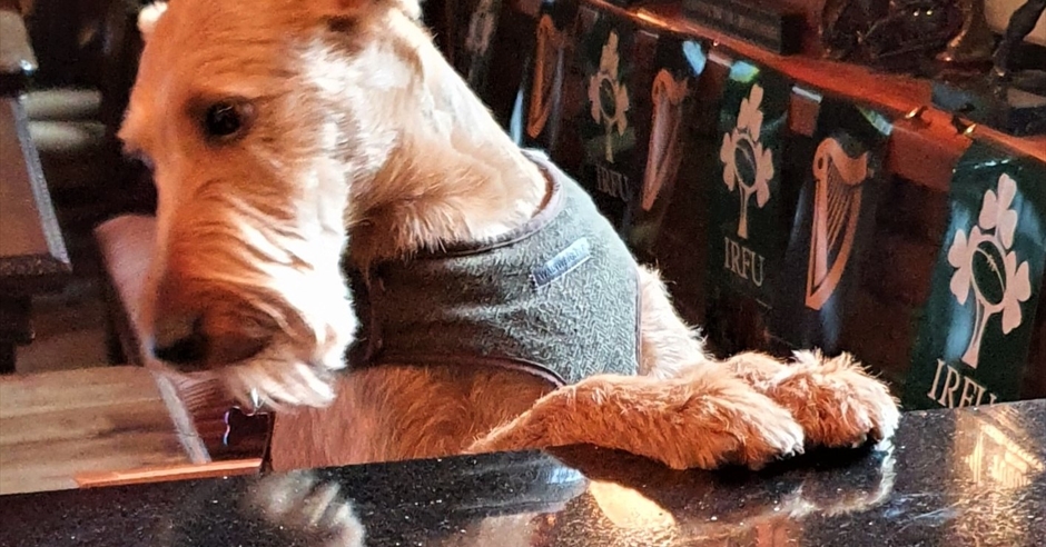 Costa Coffee - Sprucefield, Lisburn - Lisburn and Castlereagh