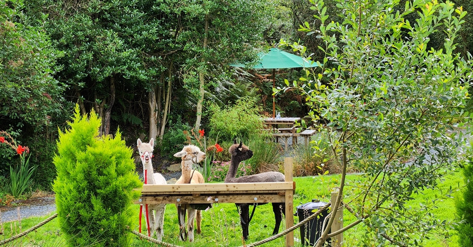 Ballyburren Outdoor Escapes - Ballynahinch - Lisburn and Castlereagh