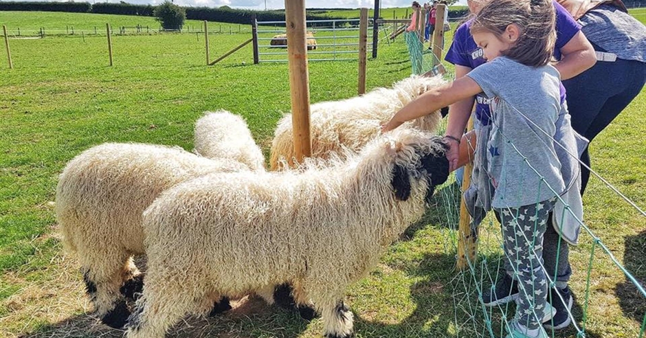 Streamvale Open Farm - Belfast - Lisburn and Castlereagh