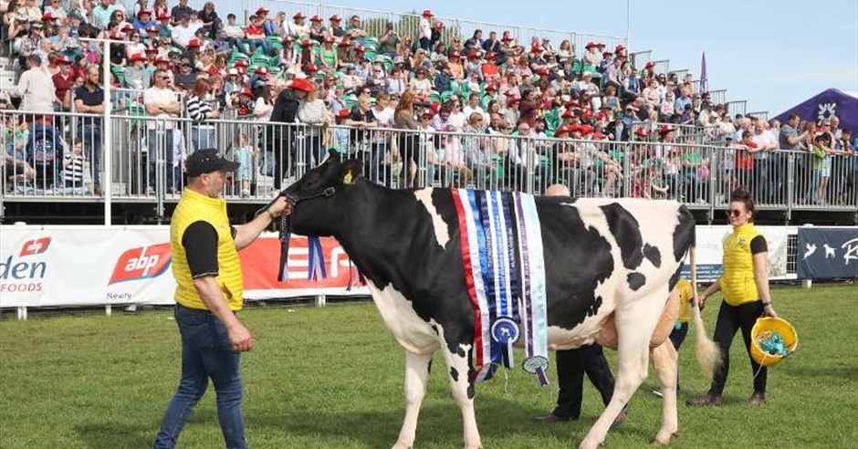 Balmoral Show 2025 - Lisburn - Lisburn and Castlereagh