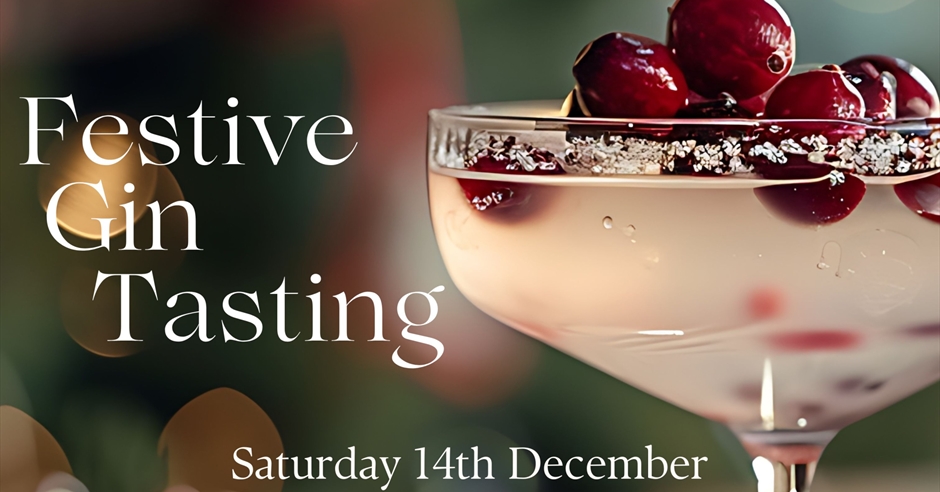 Festive Gin Making - Belfast - Lisburn and Castlereagh