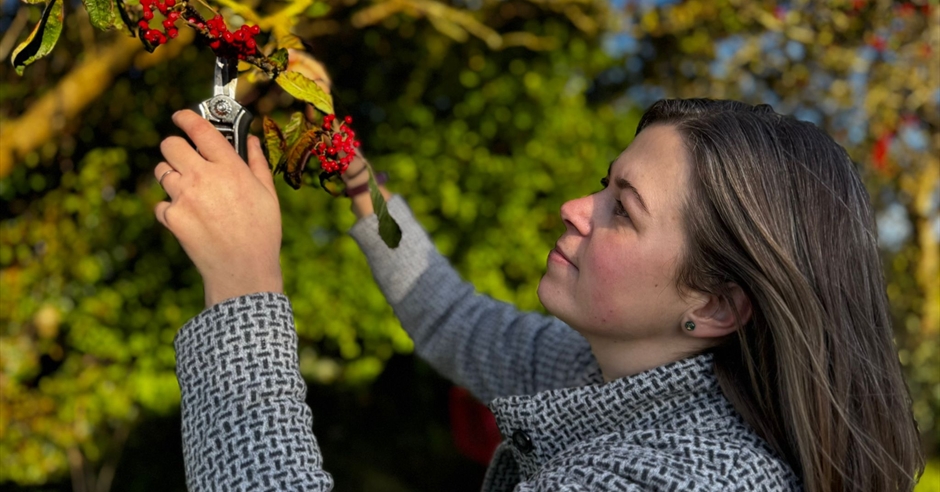 Eco-Friendly Christmas Wreath Making Experience - Ballynahinch ...