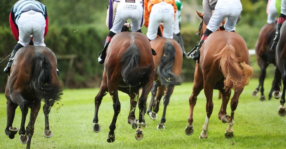 May Day Races at Down Royal - Lisburn - Lisburn and Castlereagh