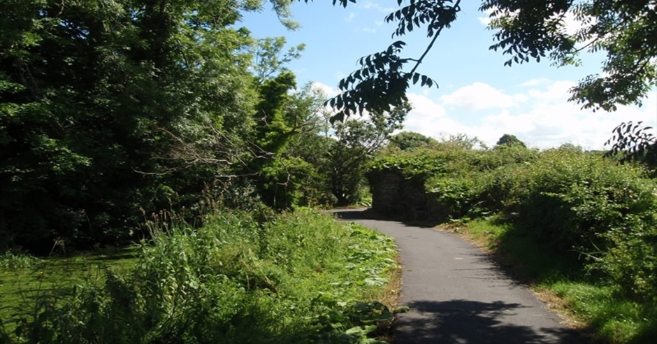 Fungal Foray - Belfast - Lisburn and Castlereagh