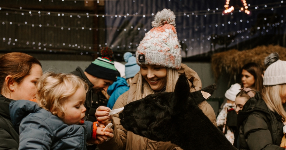 Streamvale Magical Christmas Experience - Belfast - Lisburn and Castlereagh